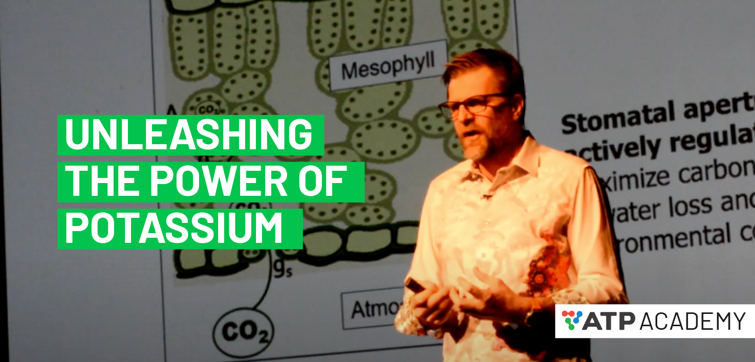 Unleashing the Power of Potassium - ATP Academy